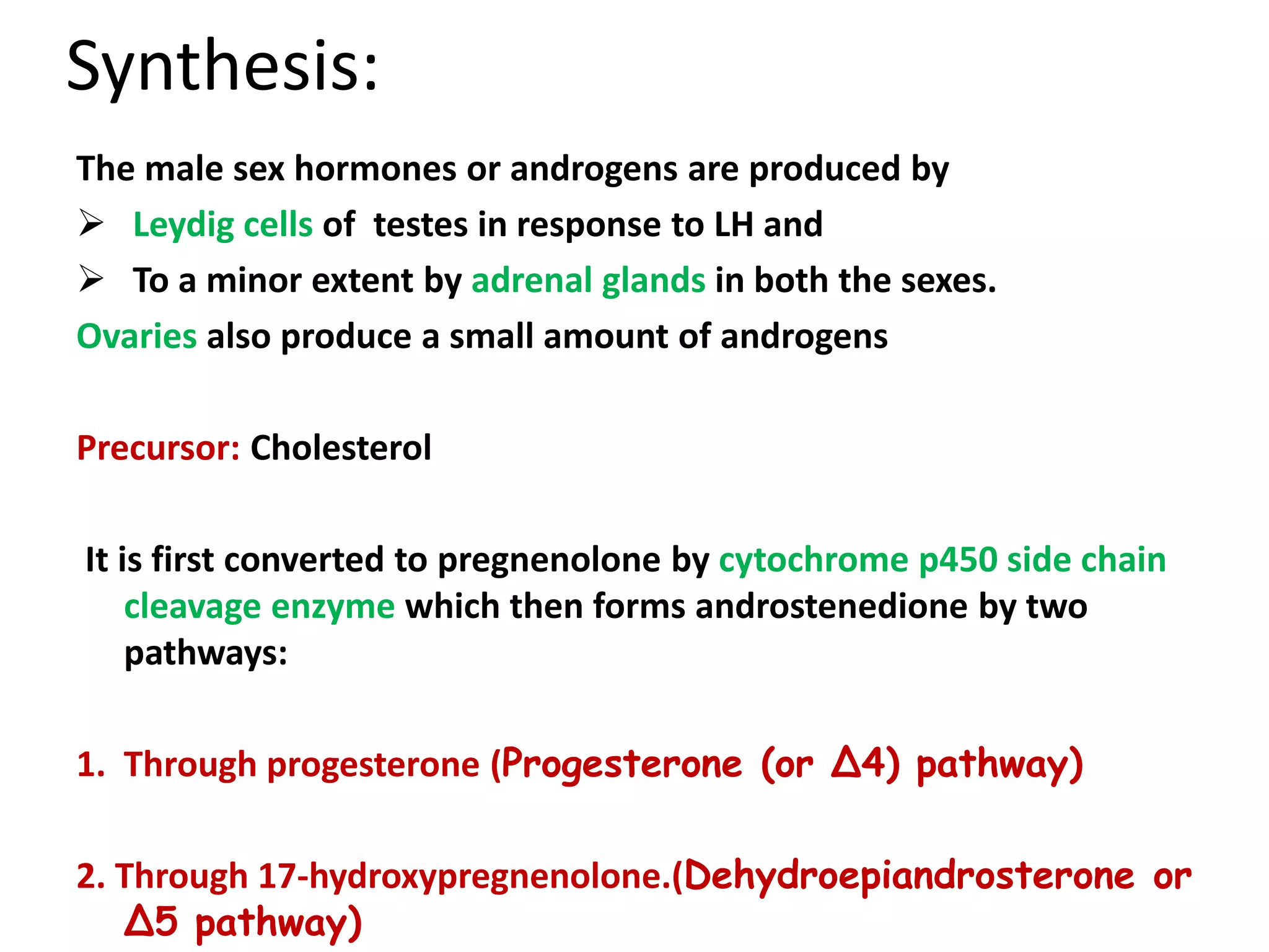 Synthesis and Metabolism of Androgen in Male Reproductive System | PPTX
