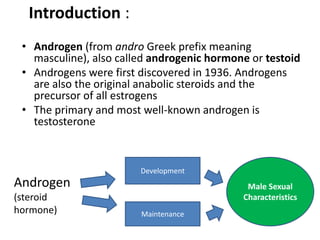 Synthesis and Metabolism of Androgen in Male Reproductive System | PPTX