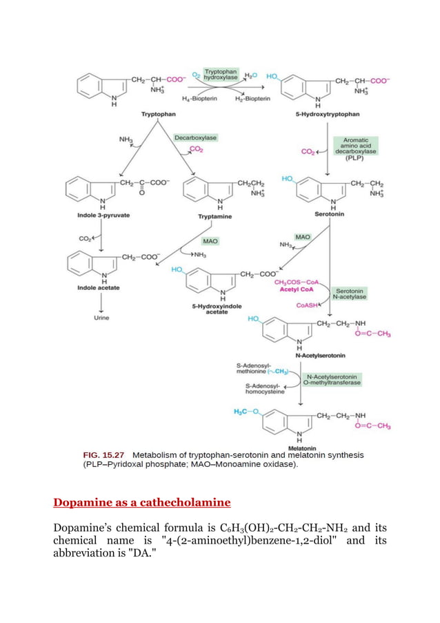 Synthesis and significance of biological substances by BNP.pdf