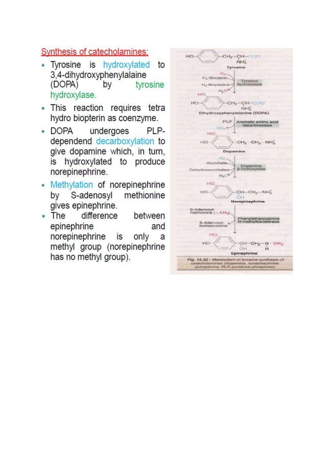 Synthesis and significance of biological substances by BNP.pdf