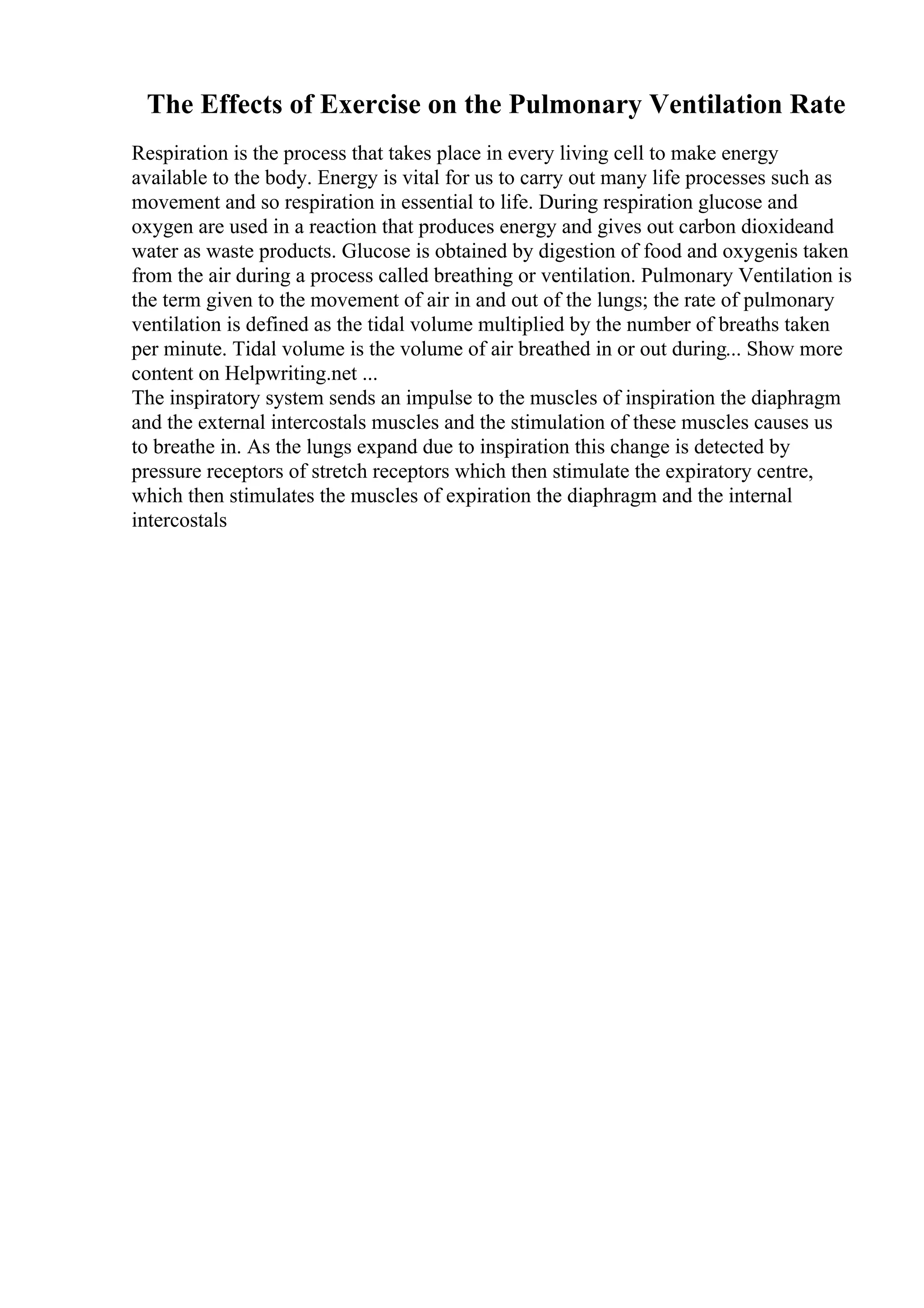 Synthesis Example Essay.pdf