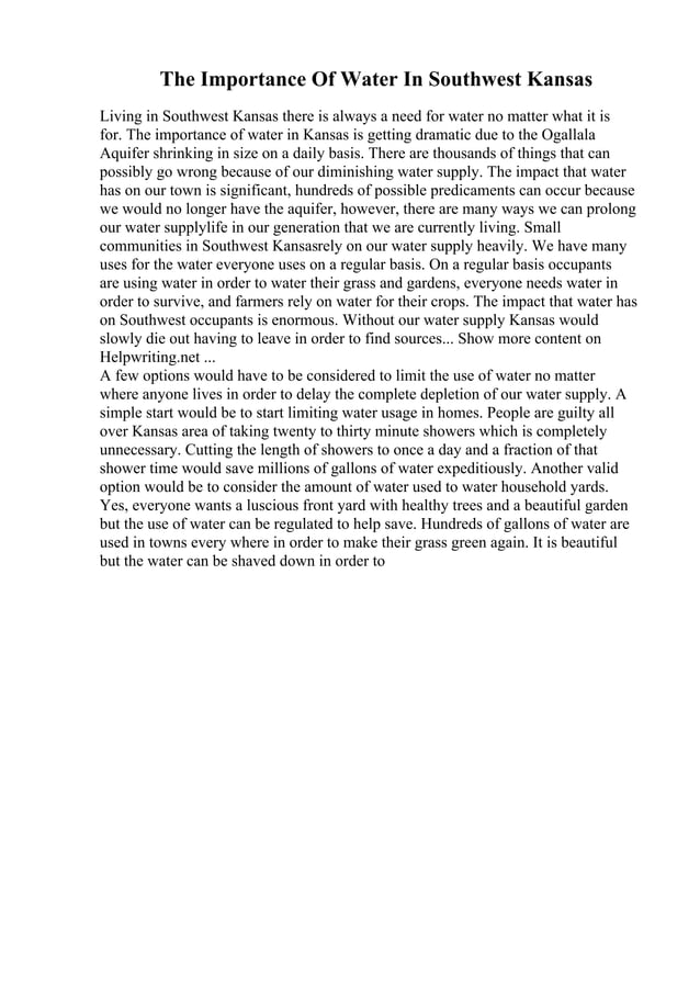 Synthesis Example Essay.pdf