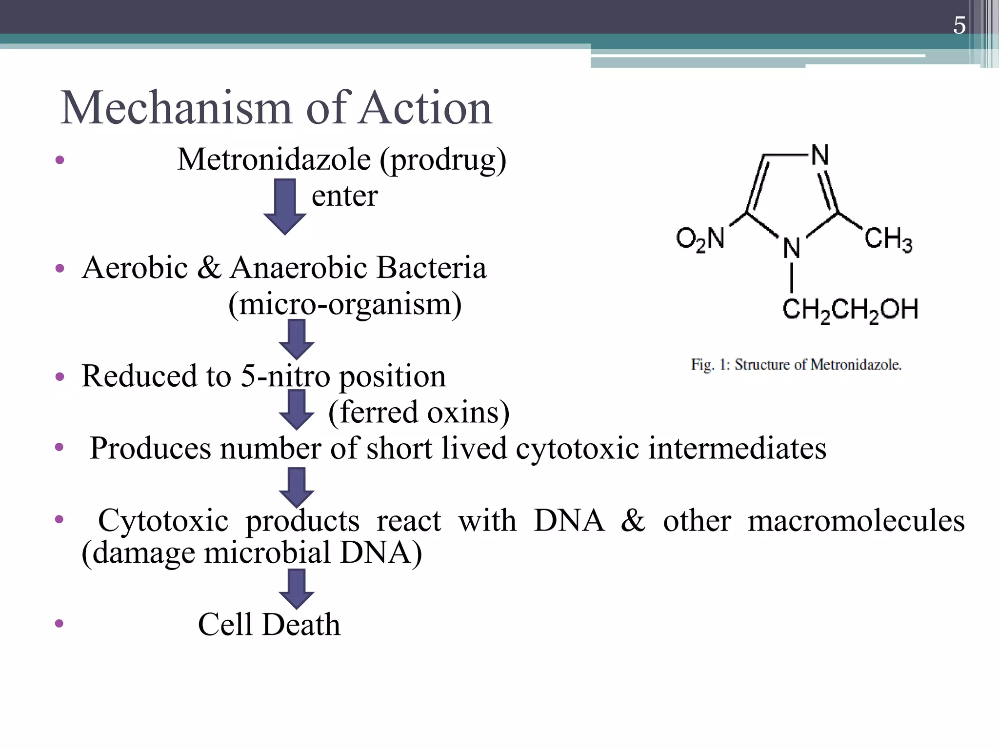 Medicinal Chemistry of Hetrocyclic Compound | PPTX