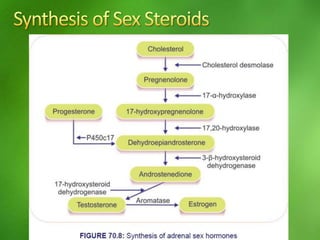 Synthesis of adrenal steroids | PPTX