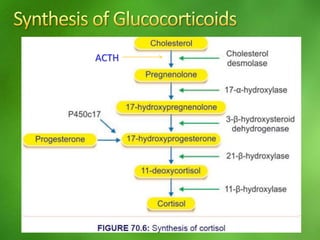 Synthesis of adrenal steroids | PPTX