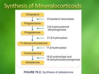 Synthesis of adrenal steroids | PPTX