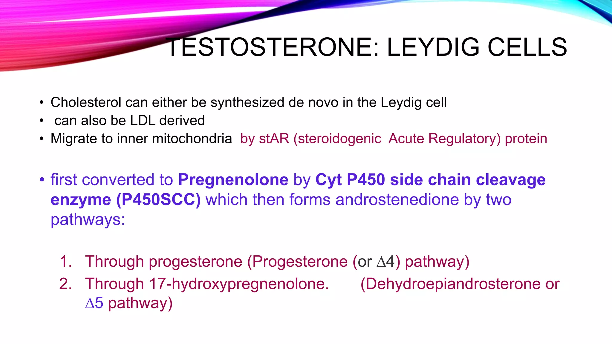 Synthesis of androgens | PPTX