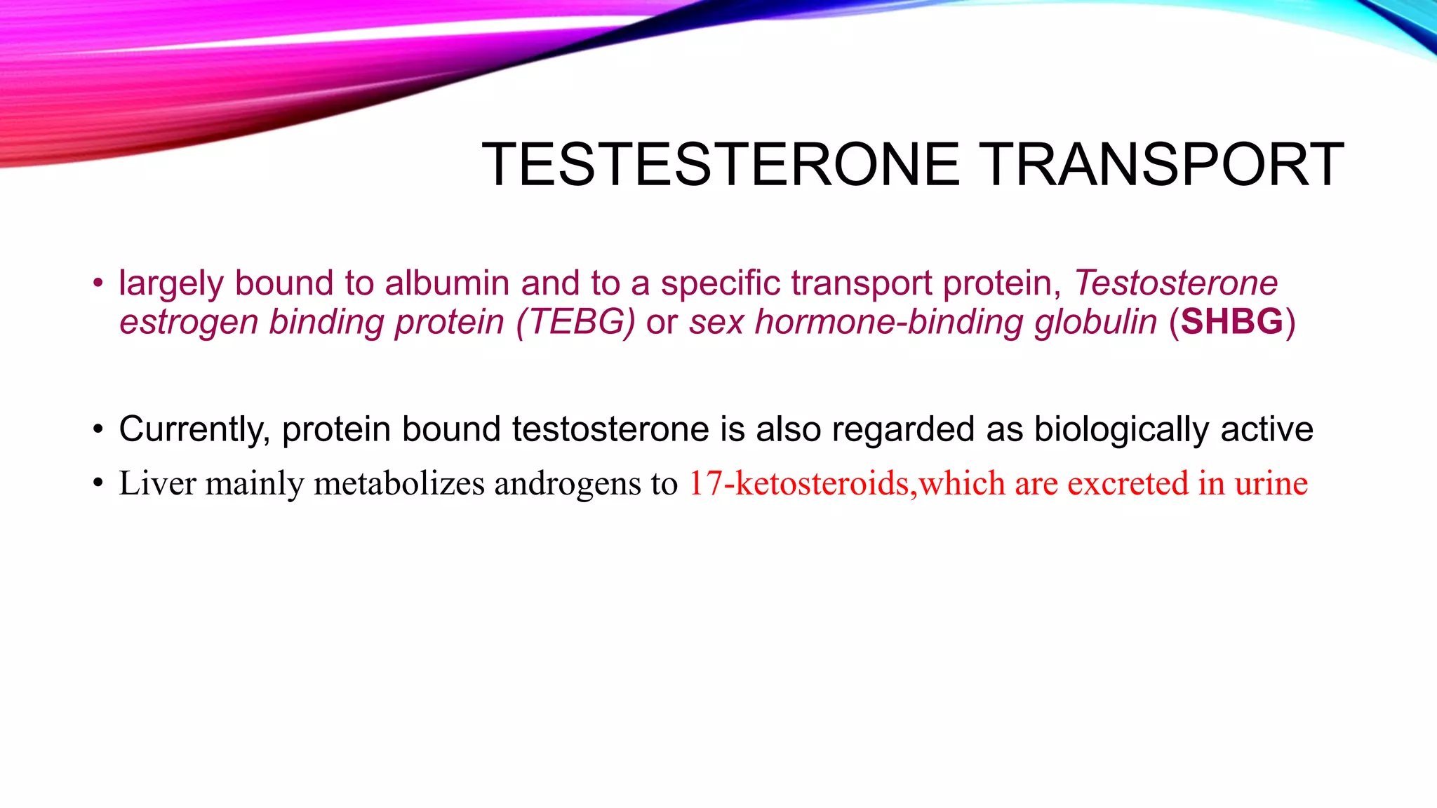 Synthesis of androgens | PPTX