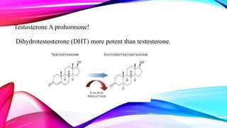Synthesis of androgens | PPTX | Hormonal Disorders | Endocrine and ...