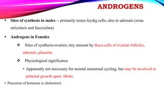 Synthesis of androgens | PPTX