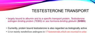 Synthesis of androgens | PPTX