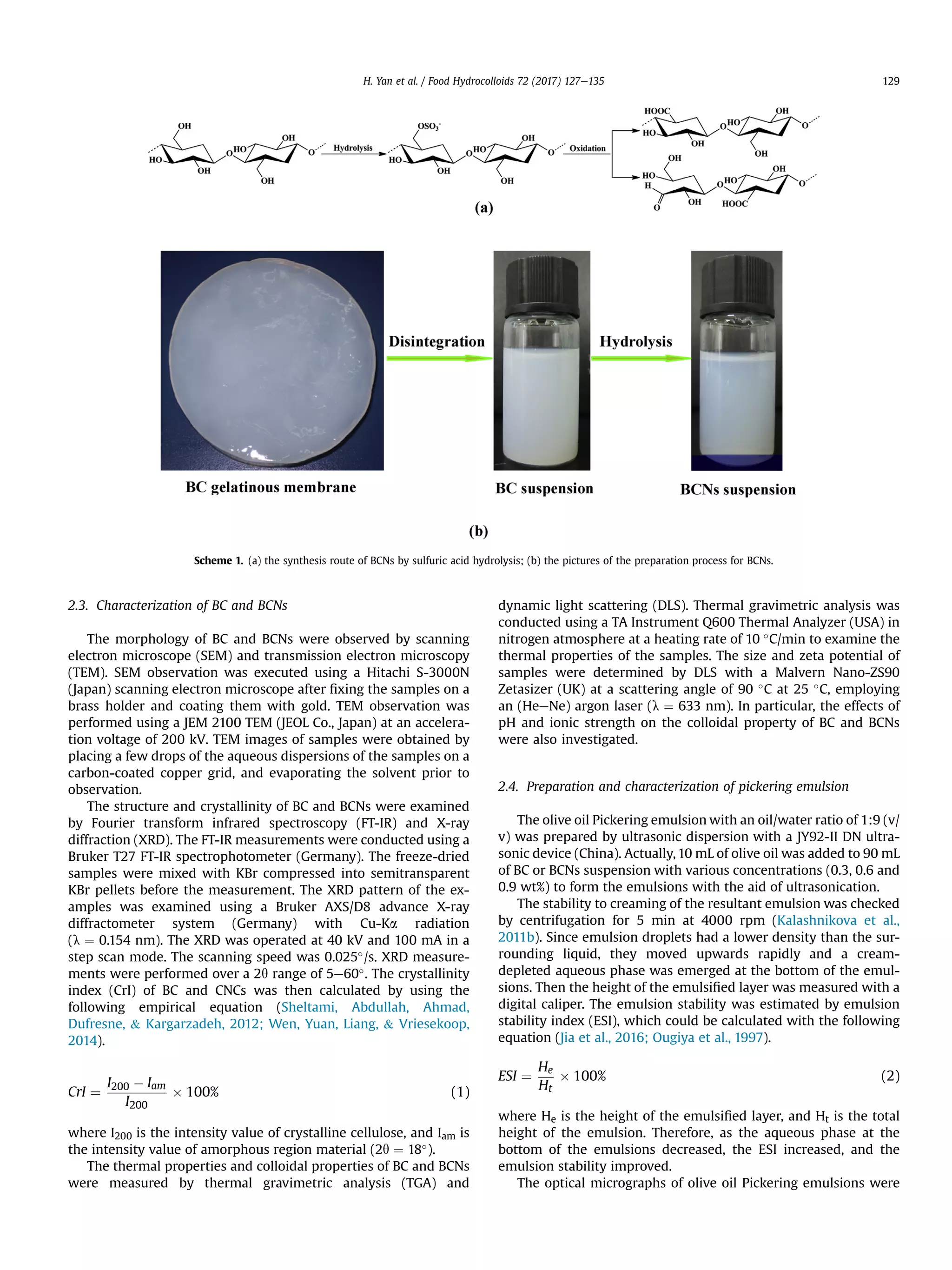 Synthesis of bacterial cellulose and bacterial cellulose nanocrystals ...