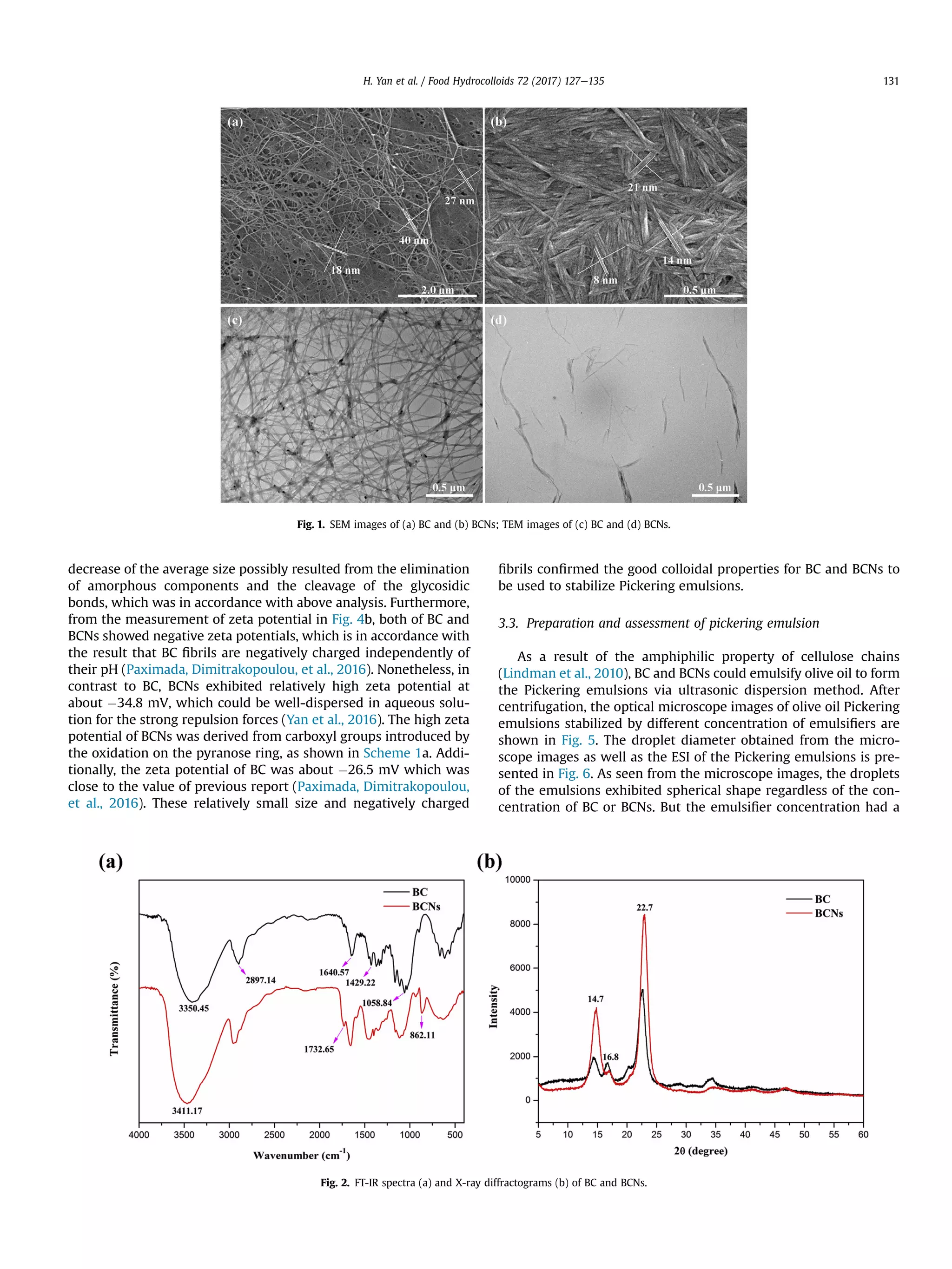Synthesis of bacterial cellulose and bacterial cellulose nanocrystals ...
