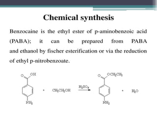 Benzocaine Synthesis