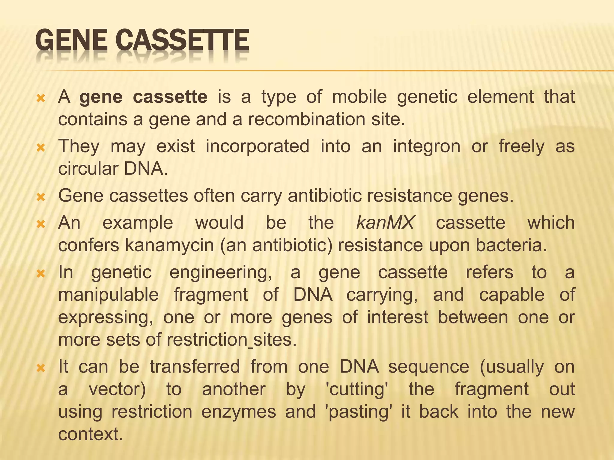 Synthesis of c dna | PPTX