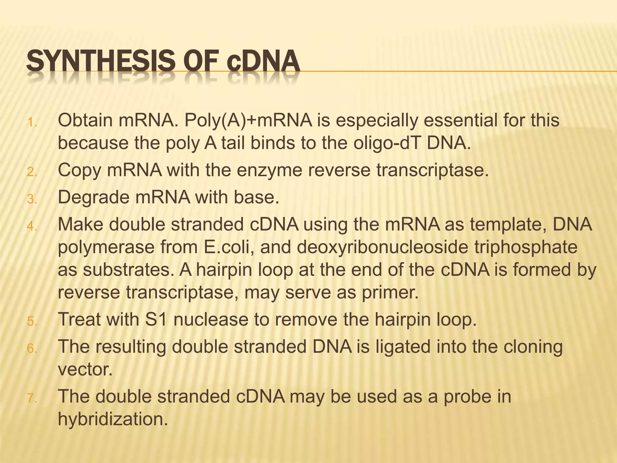Synthesis of c dna | PPTX