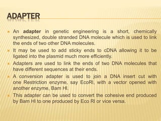 Synthesis of c dna | PPTX