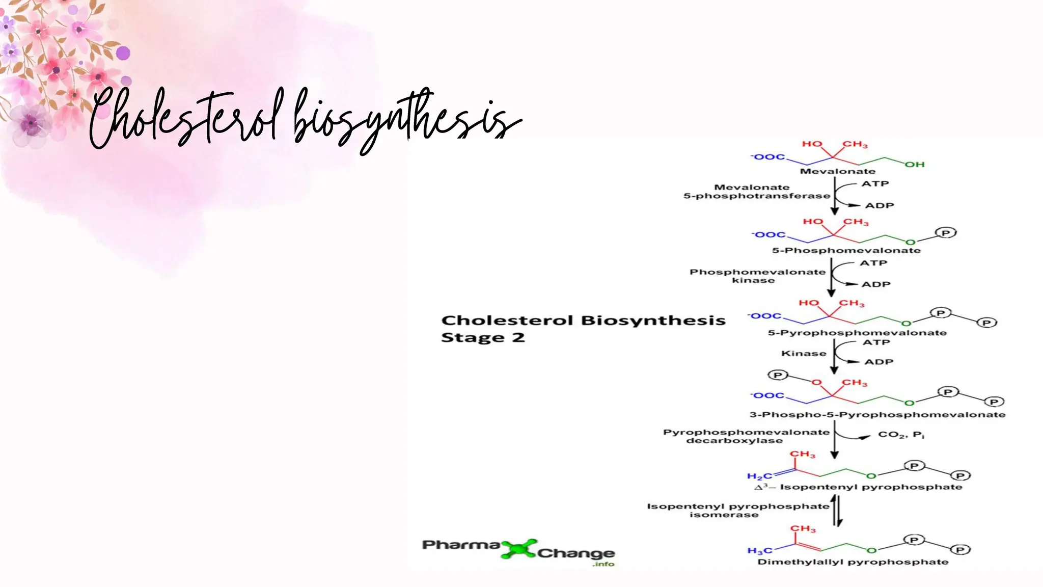 synthesis of Cholesterol.pptx