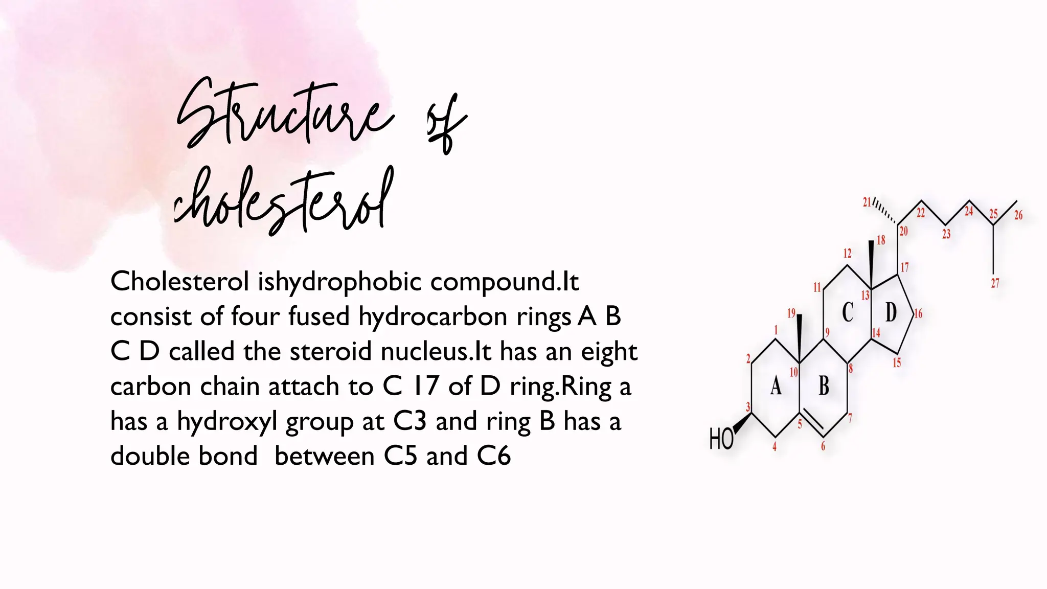 synthesis of Cholesterol.pptx