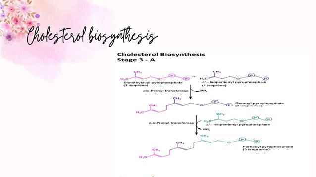 synthesis of Cholesterol.pptx