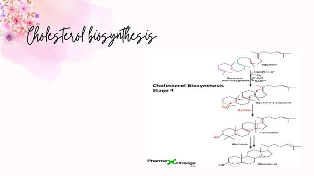 synthesis of Cholesterol.pptx