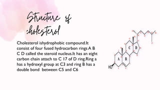 synthesis of Cholesterol.pptx