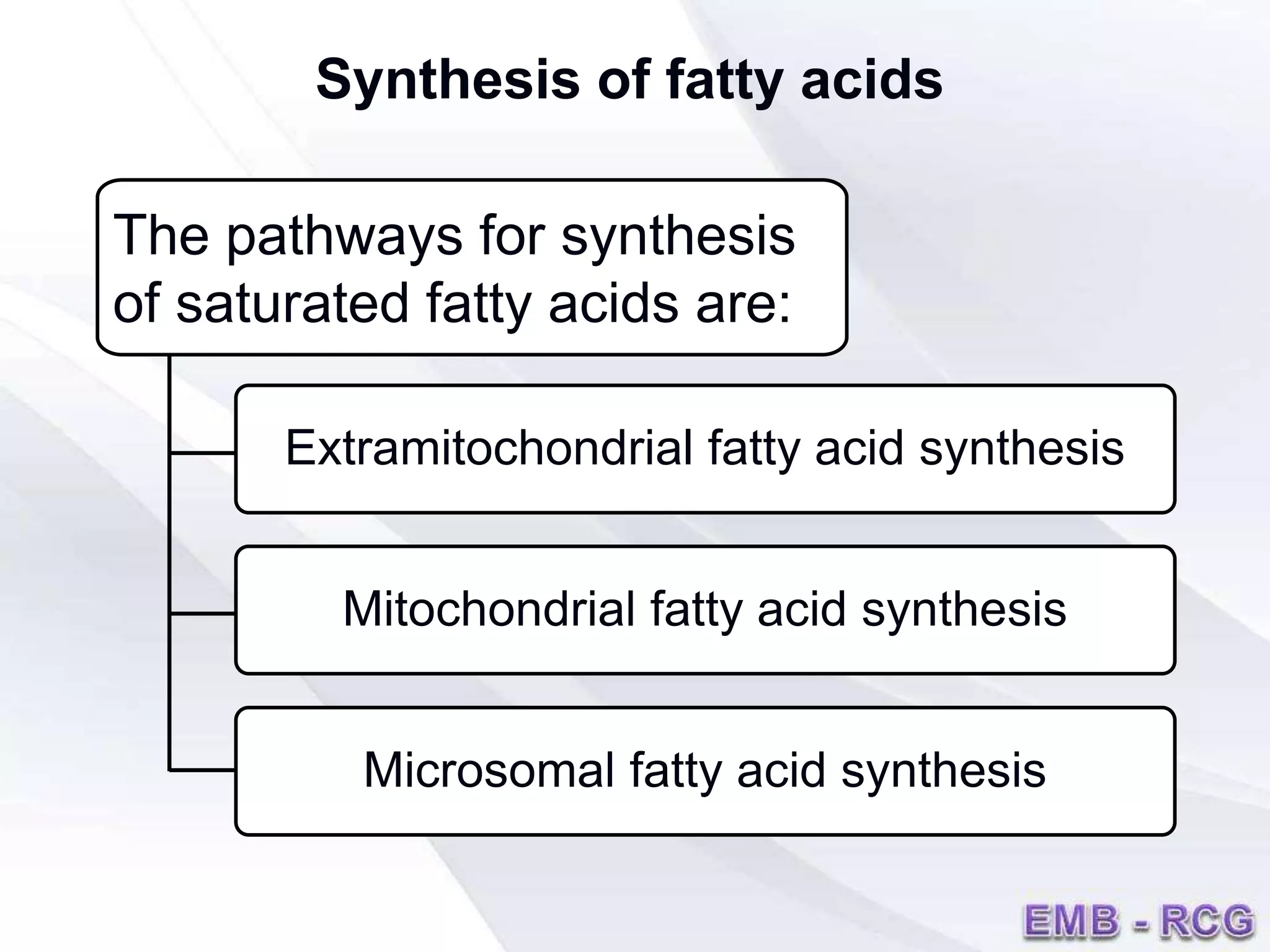 Synthesis of fatty acids | PPTX