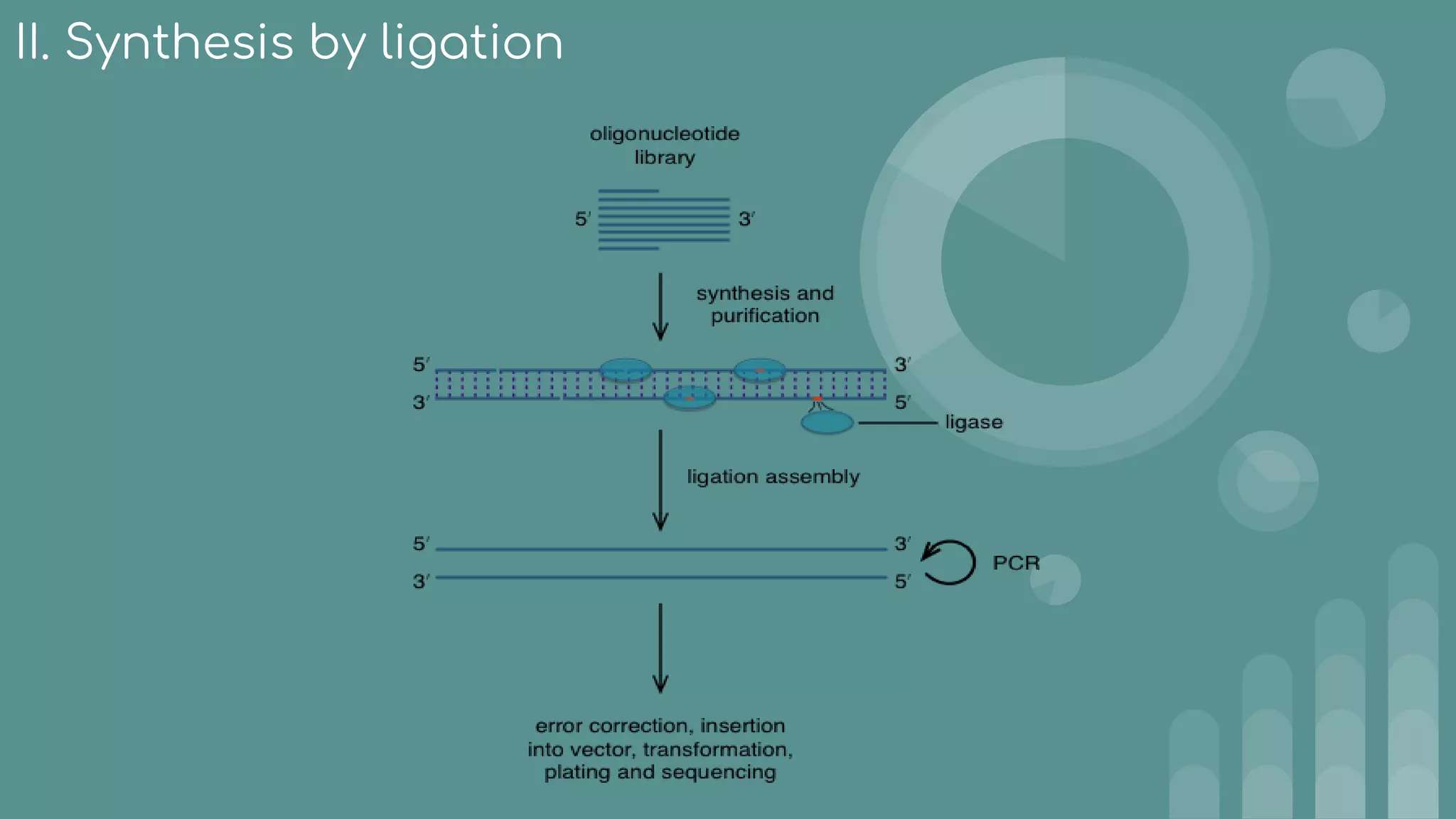 Synthesis of gene | PPTX