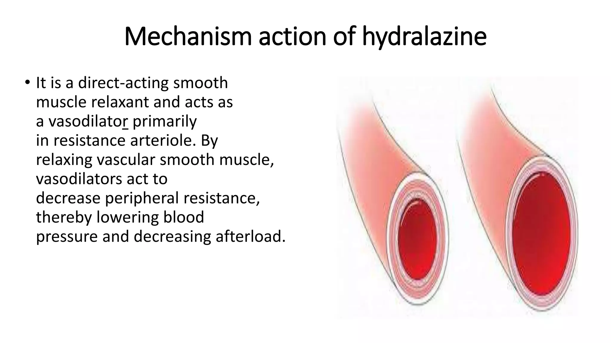Synthesis of hydralazine | PPTX