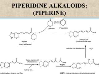 Synthesis of important alkaloid | PPT