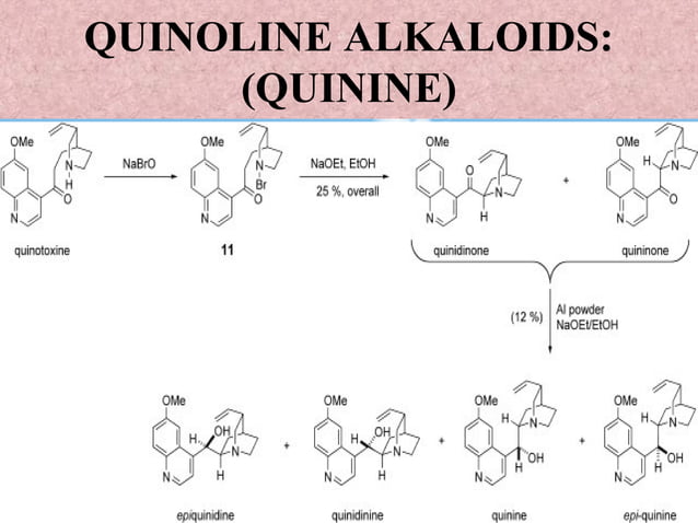 Synthesis of important alkaloid | PPT