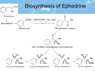 Synthesis of important alkaloid | PPT