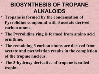 Synthesis of important alkaloid | PPT