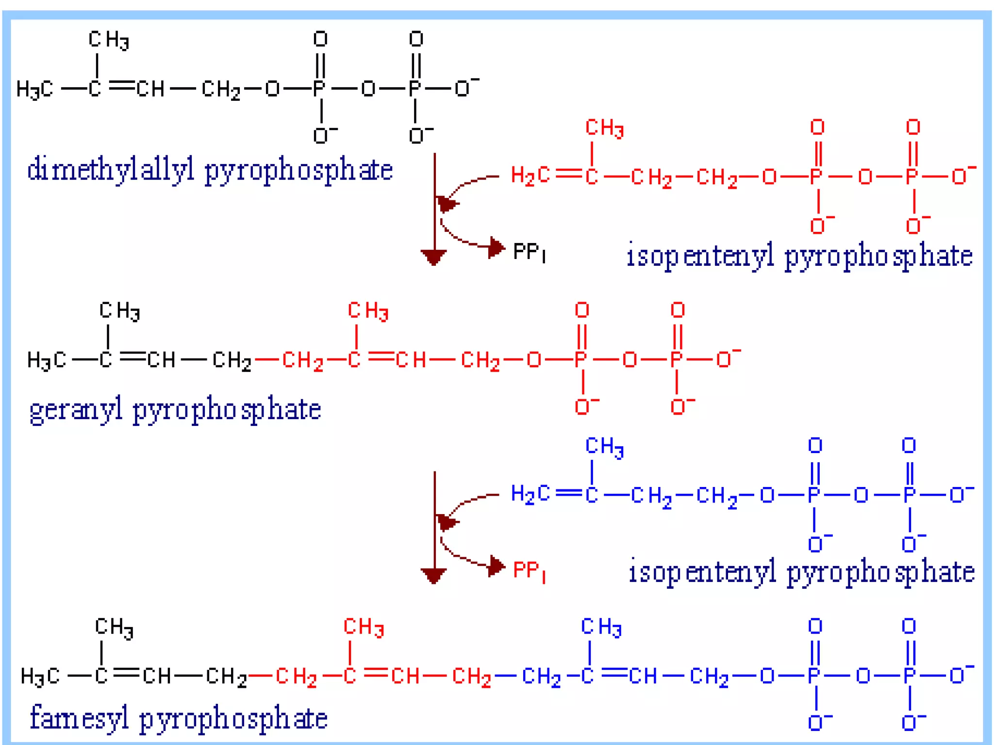 Synthesis of isoprenoid compounds | PPTX