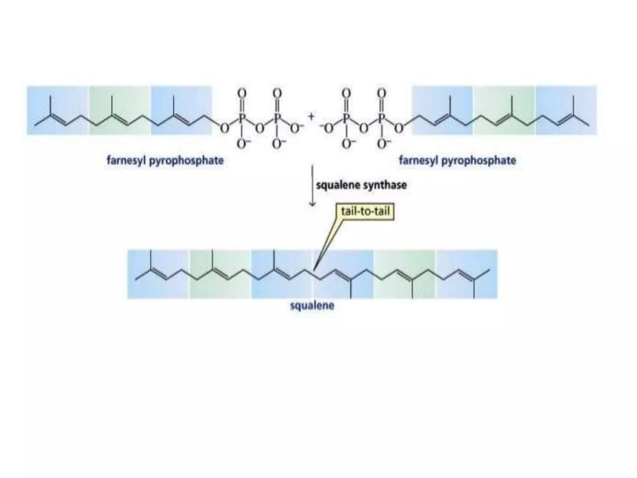 Synthesis of isoprenoid compounds | PPTX
