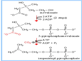 Synthesis of isoprenoid compounds | PPTX