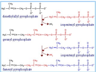 Synthesis of isoprenoid compounds | PPTX