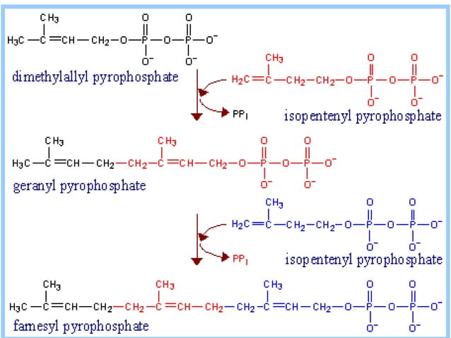 Synthesis of isoprenoid compounds | PPTX | Chemistry | Science