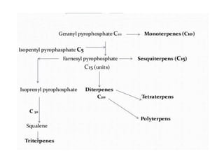 Synthesis of isoprenoid compounds | PPTX