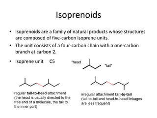 Synthesis of isoprenoid compounds | PPT
