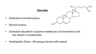 Synthesis of Membrane Lipids | PPTX