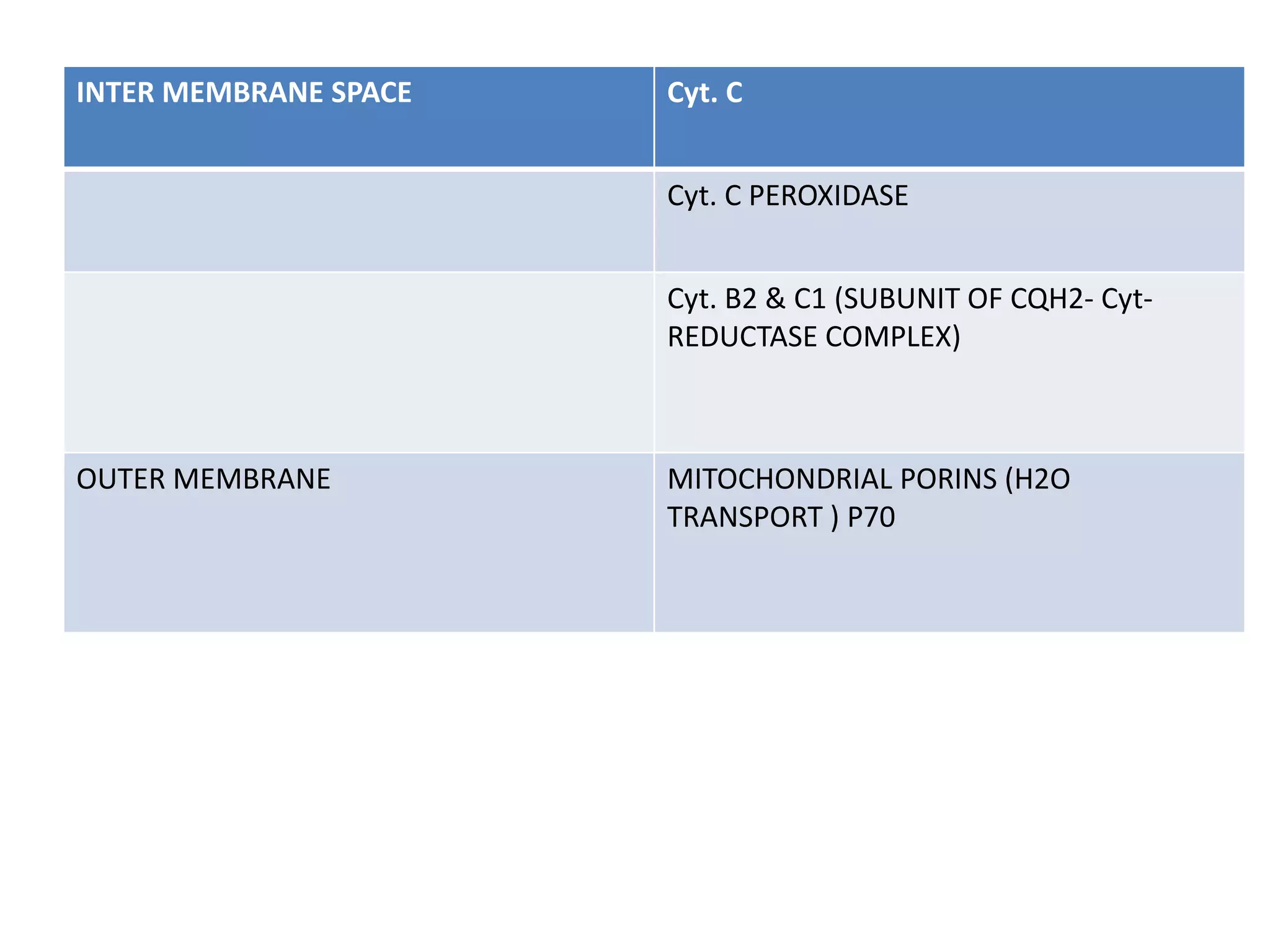 Synthesis and targetting of mitochondrial proteins | PDF