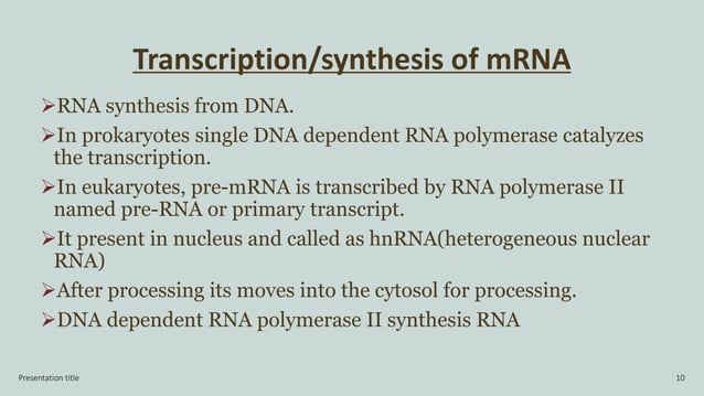 Synthesis of mRNA.pptx