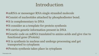Synthesis of mRNA.pptx