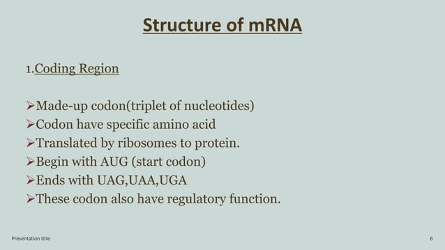 Synthesis of mRNA.pptx