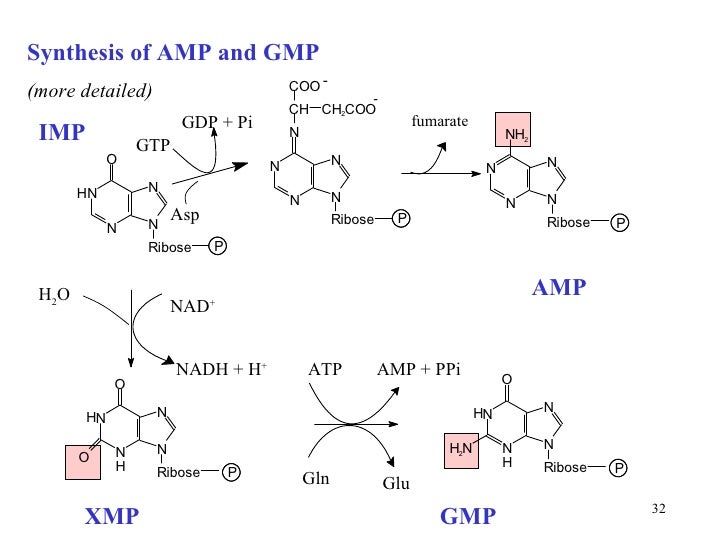 Synthesis of nucleotides_11
