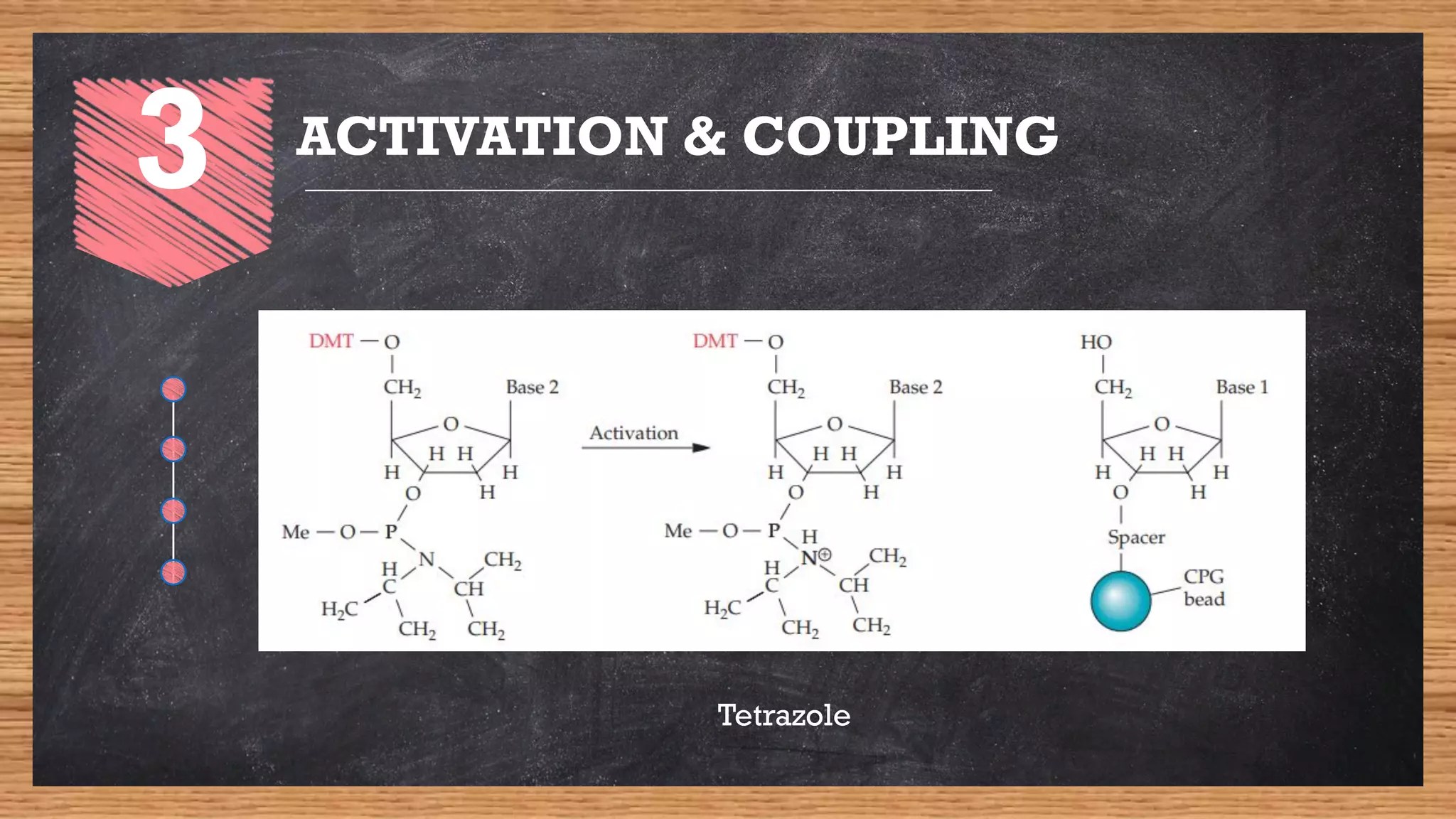 Synthesis of oligonucleotides by phosphoramidite method | PDF