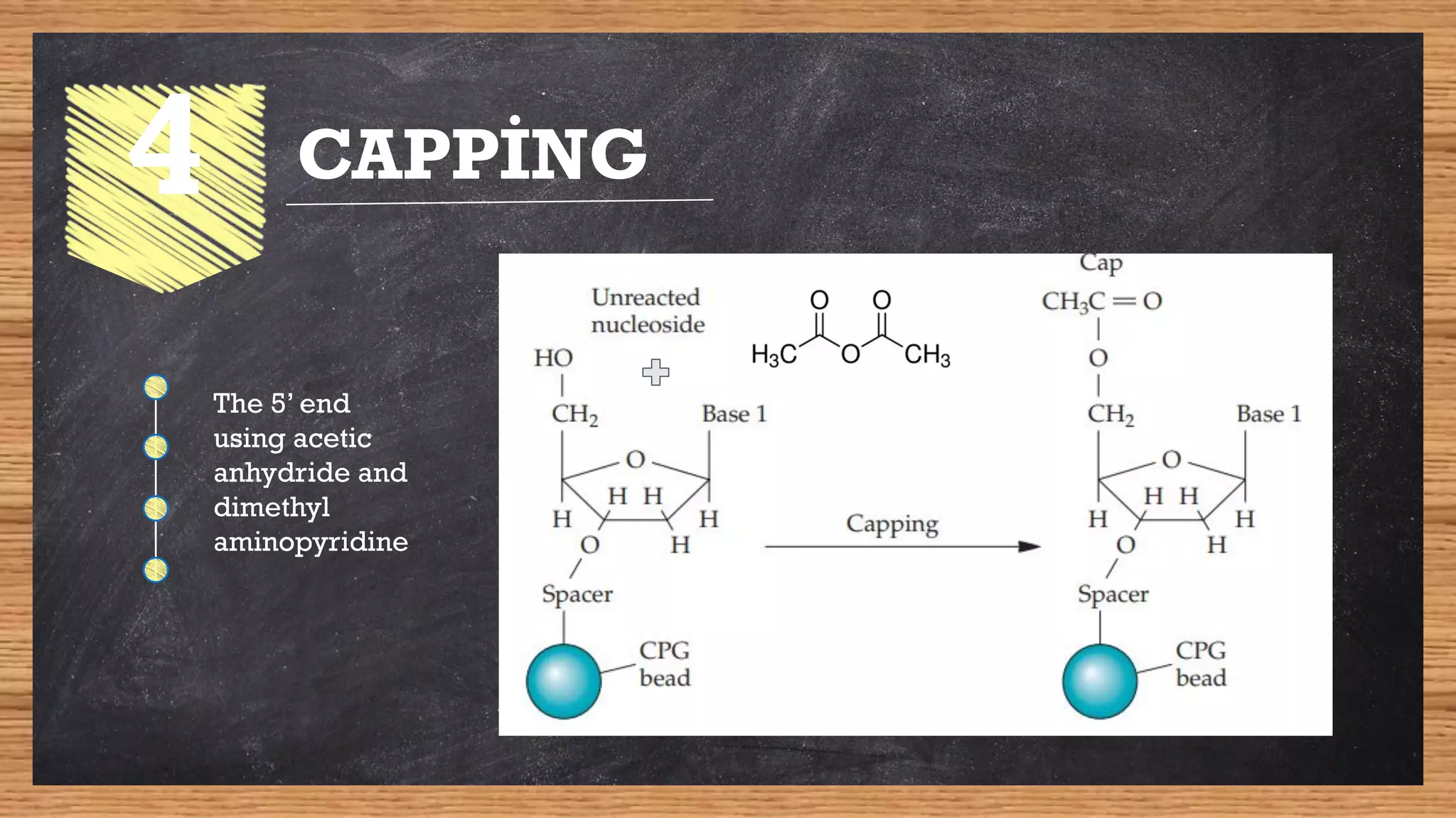Synthesis of oligonucleotides by phosphoramidite method | PDF