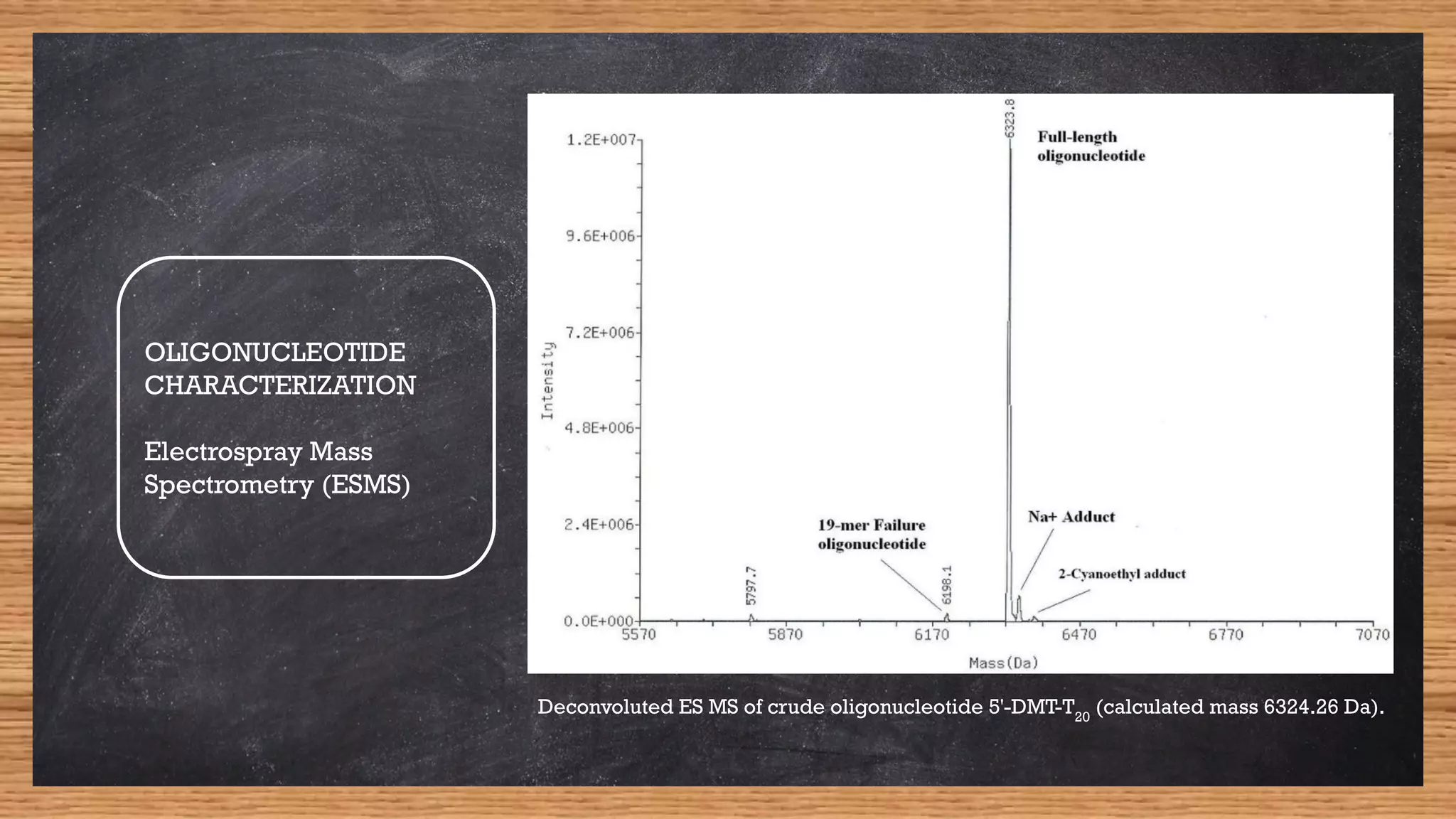Synthesis of oligonucleotides by phosphoramidite method | PDF