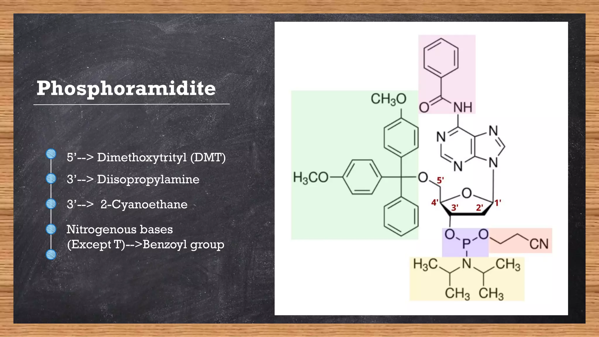 Synthesis of oligonucleotides by phosphoramidite method | PDF